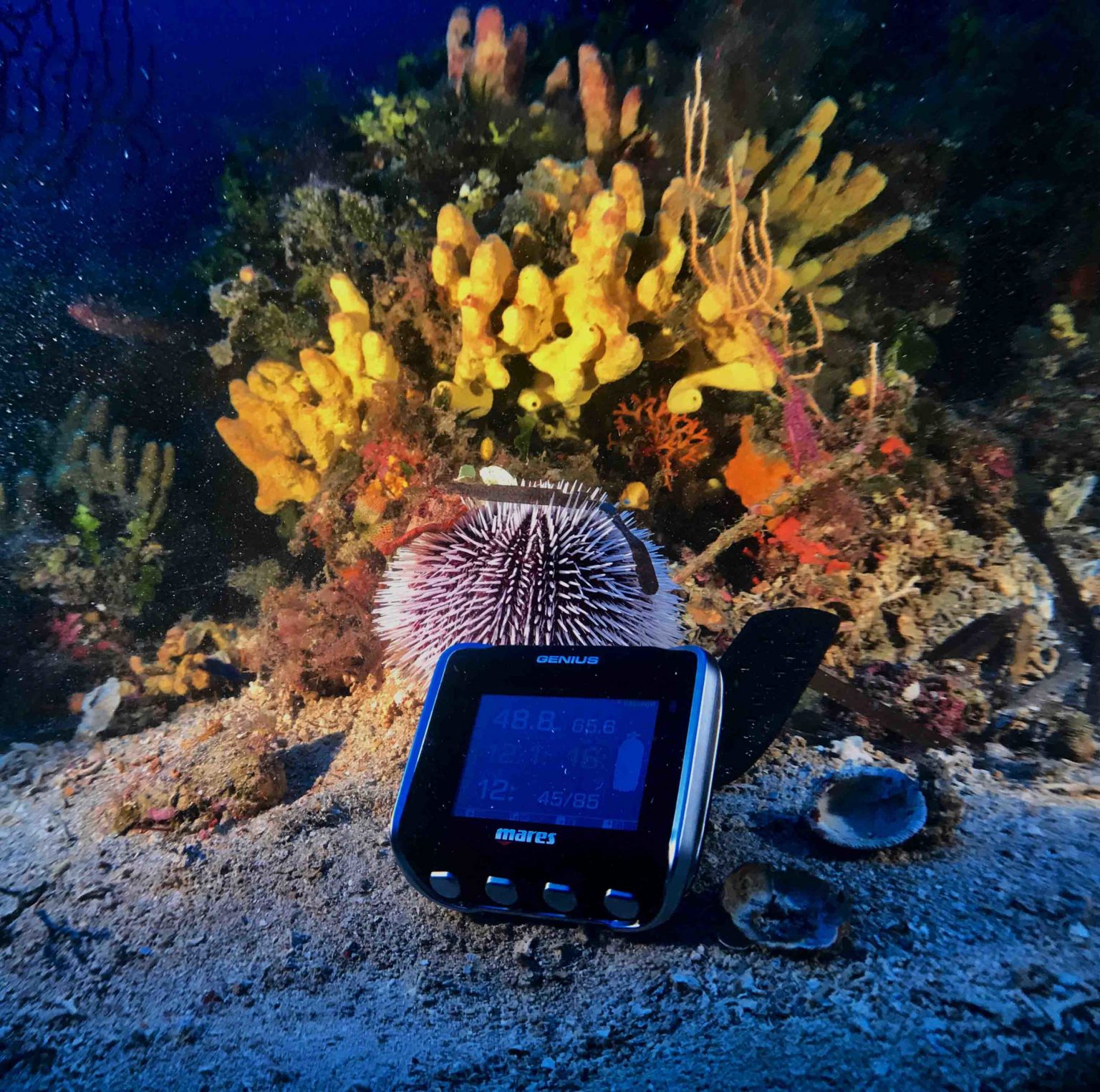 Il nuovo computer subacqueo Mares Genius - UNDERWATER TALES