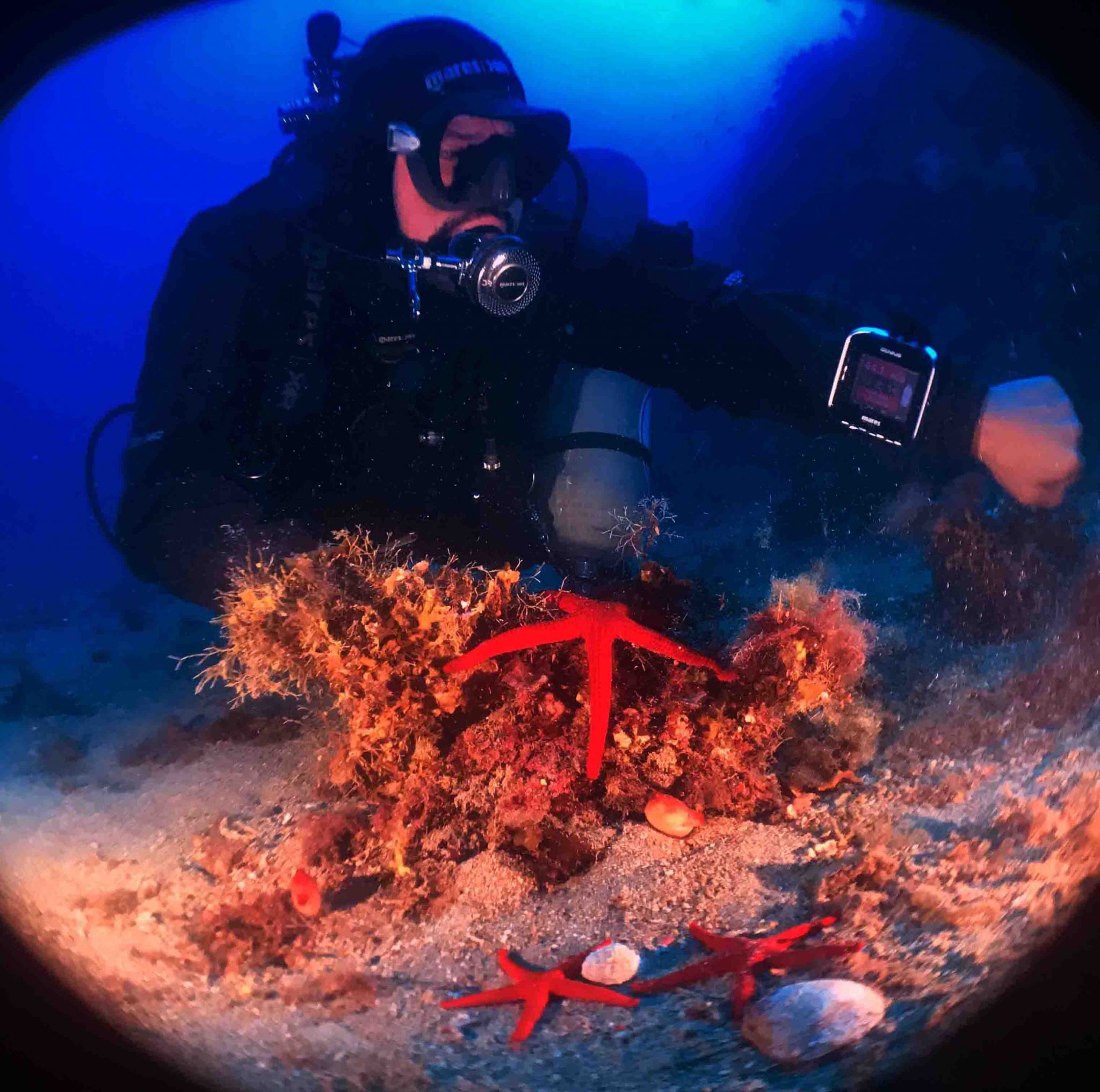 Il nuovo computer subacqueo Mares Genius - UNDERWATER TALES